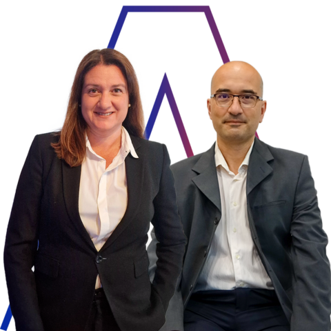 ANALYTICS - ASIC CONSULTORES